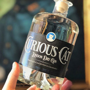 Gallery - The Curious Cat Bar