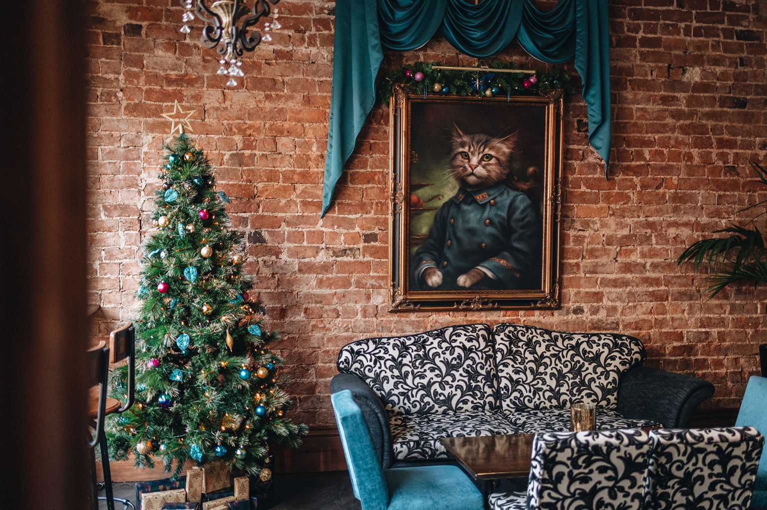 Gallery - The Curious Cat Bar